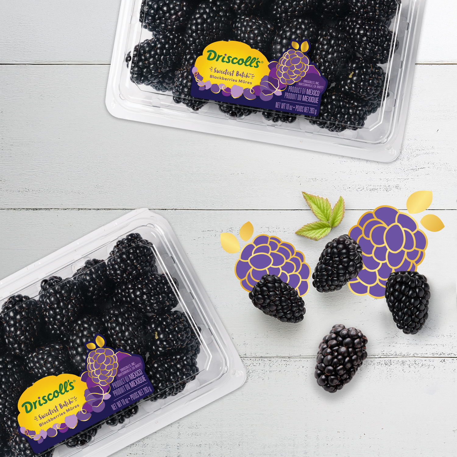 Fresh Berries | Driscoll's