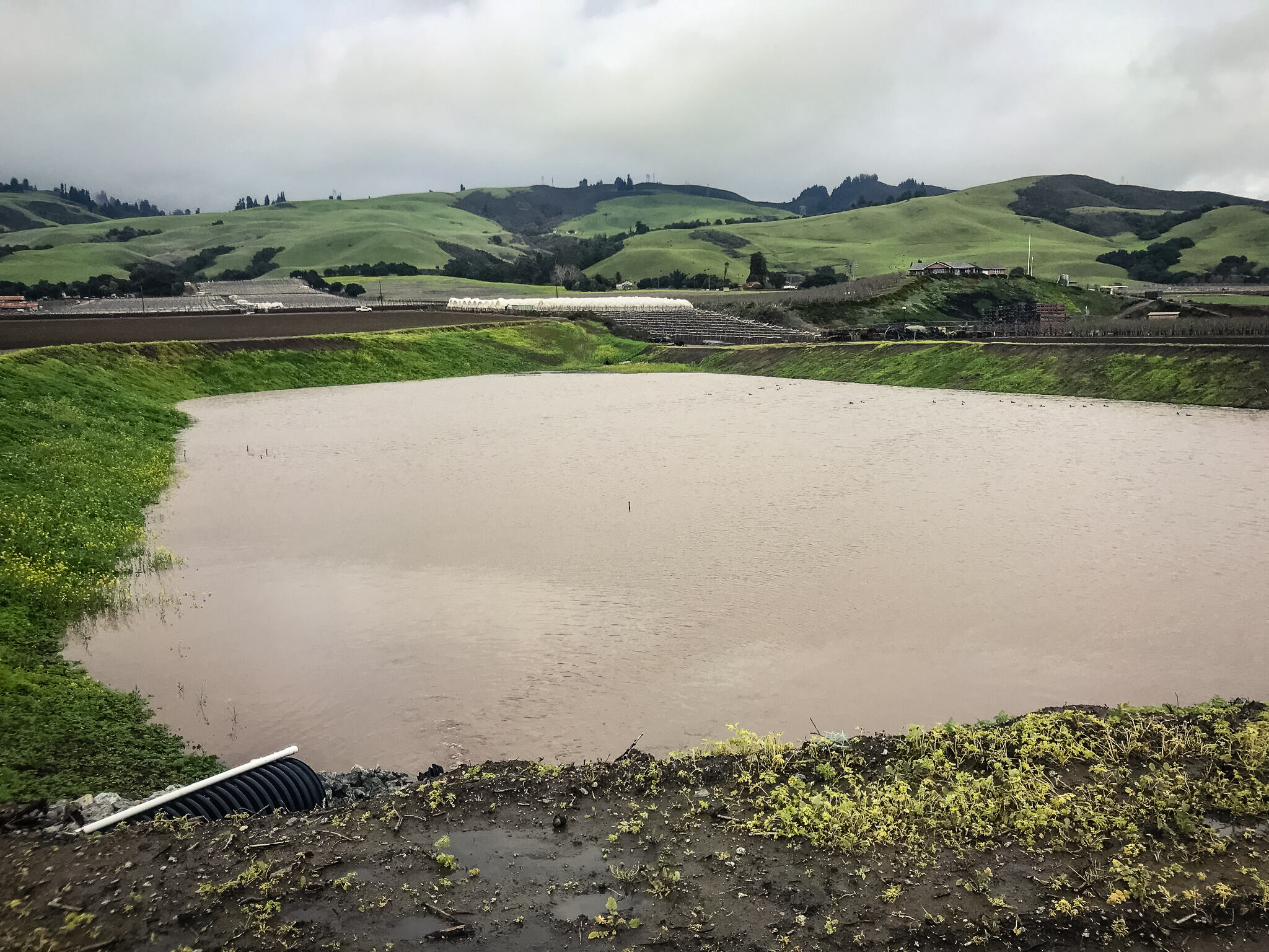 Providing ‘Overdraft’ Protection for Groundwater in the Pajaro Valley