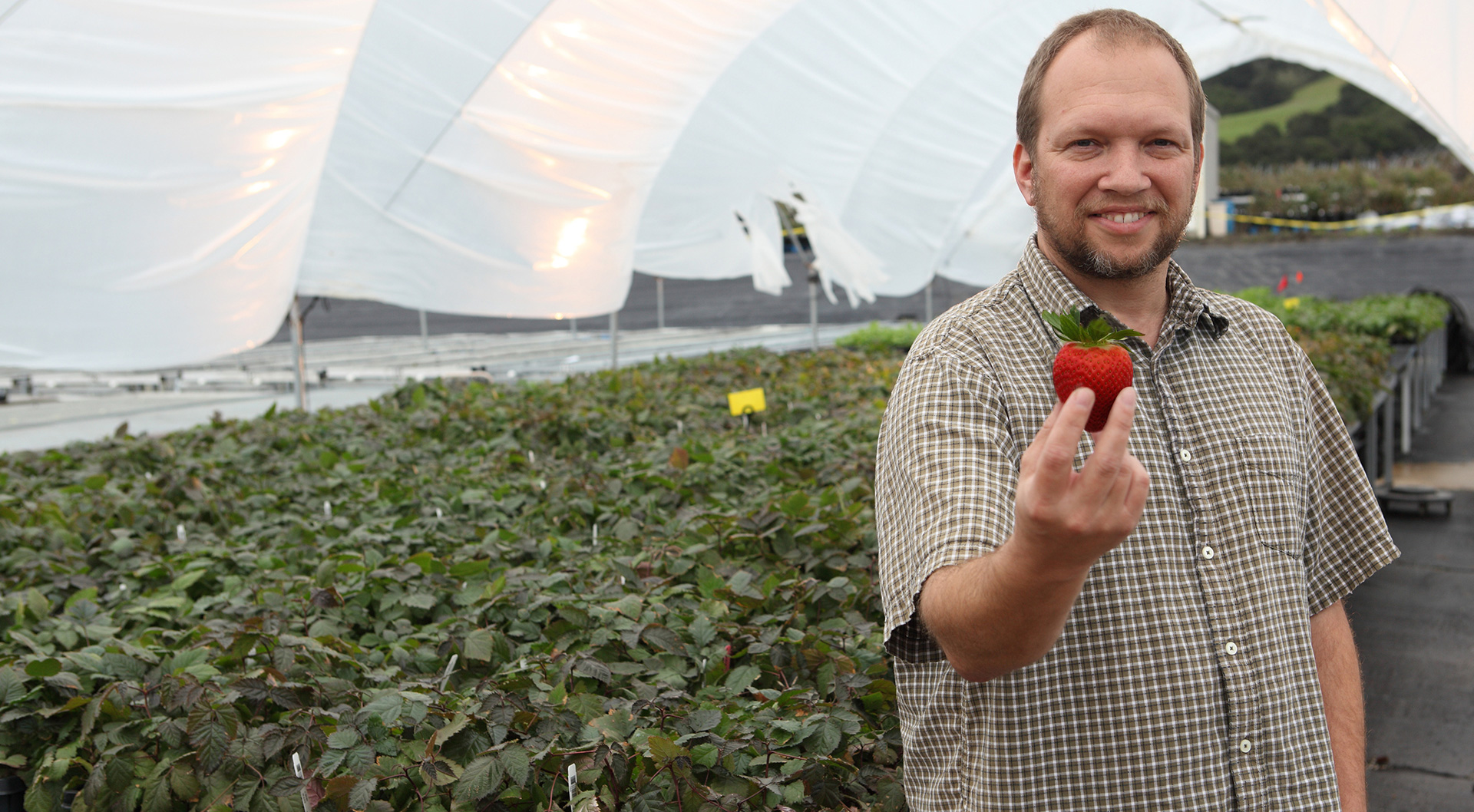 Learn About the Berry Life | Driscoll's